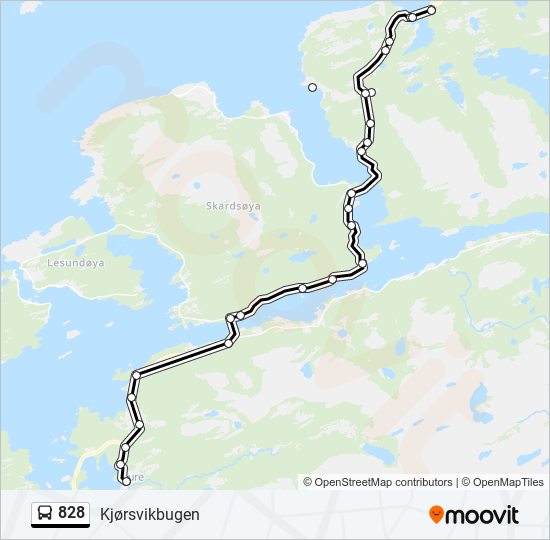 828 Route: Schedules, Stops & Maps - Kjørsvikbugen (Updated)