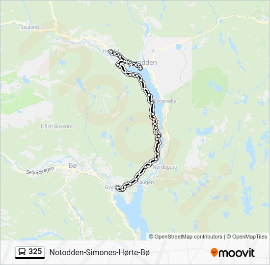 325 Route: Schedules, Stops & Maps - Gvarv Via Yli-Klevar (Updated)
