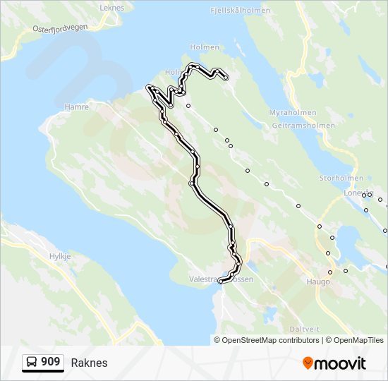 909 Route: Schedules, Stops & Maps - Raknes (Updated)
