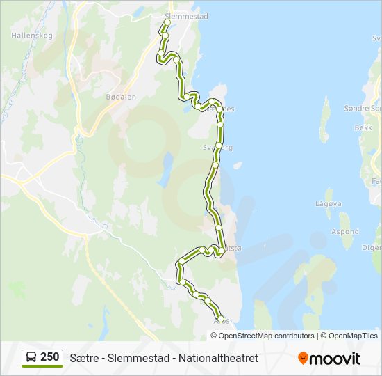 250 Route: Schedules, Stops & Maps - Åros (Updated)