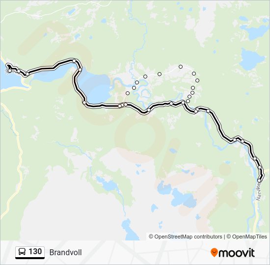130 Route: Schedules, Stops & Maps - Brandvoll (Updated)