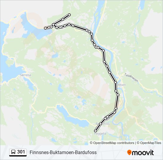 301 Route: Schedules, Stops & Maps - Blomli (Updated)