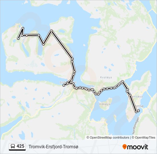 425 Route: Schedules, Stops & Maps - Tromsø (Updated)