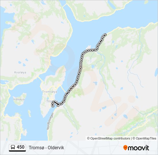 450 Route: Schedules, Stops & Maps - Steinnes (Updated)