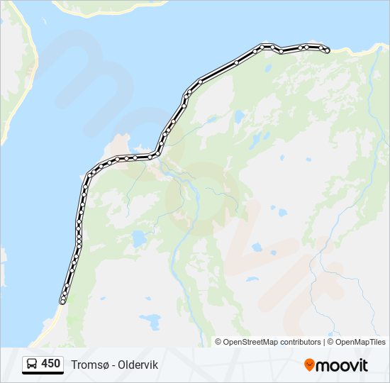 450 Route: Schedules, Stops & Maps - Skjelnan Skole (Updated)