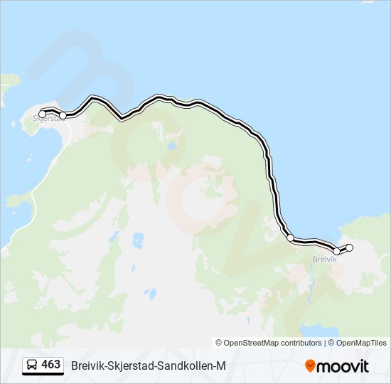 463 Route: Schedules, Stops & Maps - Skjerstad Skole (Updated)