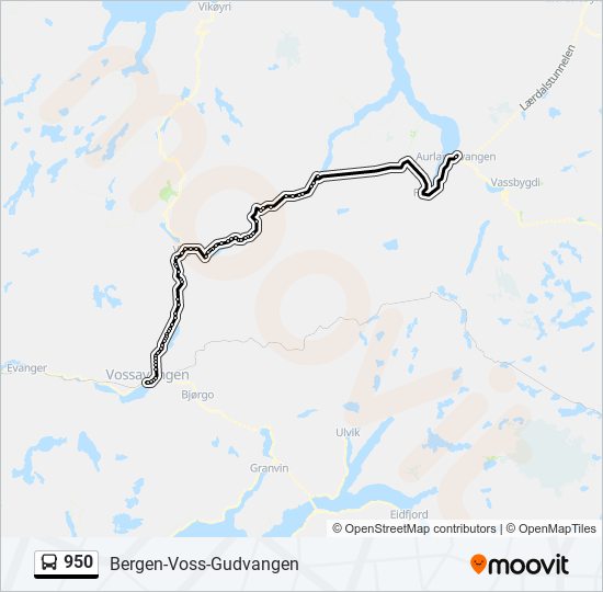 950 Route: Schedules, Stops & Maps - Gudvangen Via Aurland (Updated)