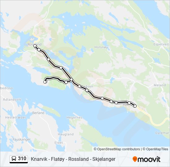 310 Route: Schedules, Stops & Maps - Beitingen Via Vestbygd Skule (Updated)
