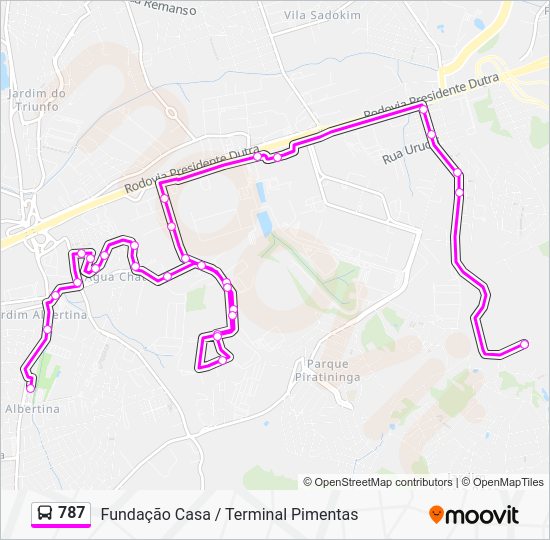 787 Route: Schedules, Stops & Maps - Terminal Pimentas (Updated)