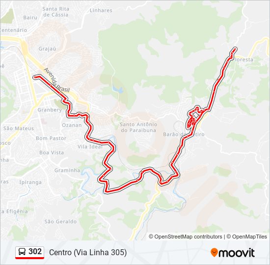 302 Route: Schedules, Stops & Maps - Centro (Via Linha 305) (Updated)