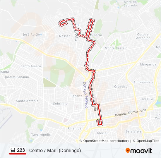 223 Route: Schedules, Stops & Maps - Centro / Marli (Domingo) (Updated)