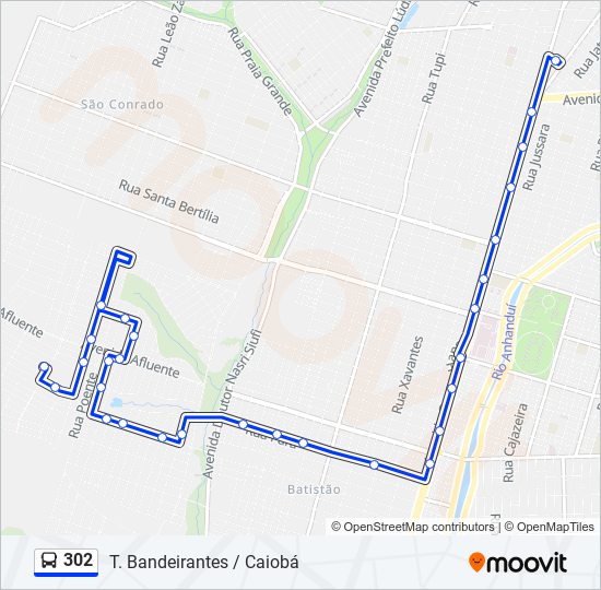 302 Route: Schedules, Stops & Maps - T. Bandeirantes / Caiobá (Updated)