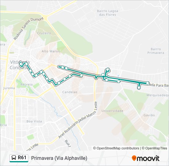 Línea r61: horarios, paradas y mapas - Primavera (Via Alphaville ...