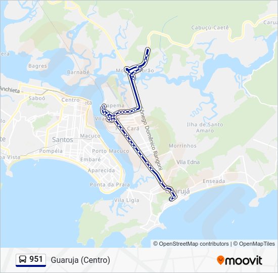 951 Route: Schedules, Stops & Maps - Guaruja (Centro) (Updated)