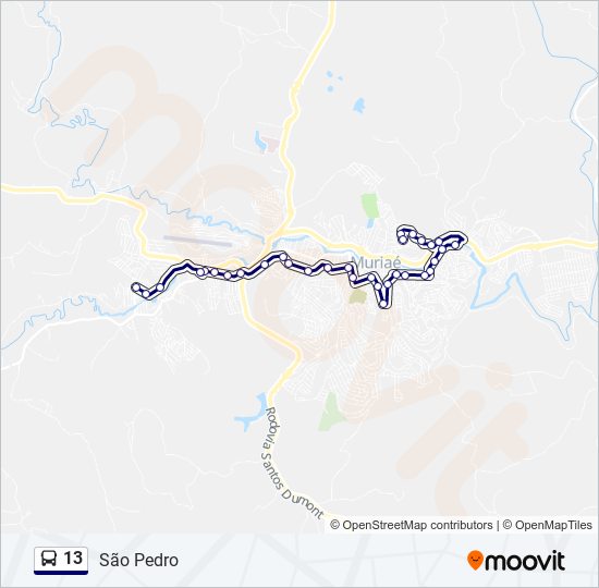 13 Route: Schedules, Stops & Maps - São Pedro (Updated)