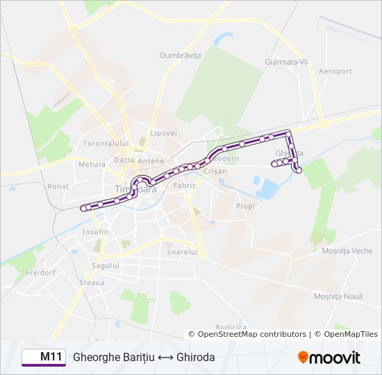 m11 Route: Schedules, Stops & Maps - Gheorghe Barițiu Girație POD ...