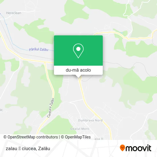 Cum să ajungeți la zalau 🔜 ciucea în Zona Industrială Nord cu autobuz?