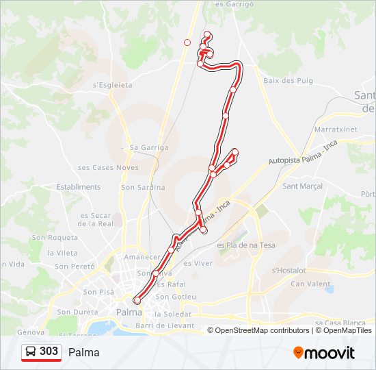 303 Route: Schedules, Stops & Maps - Palma (Updated)