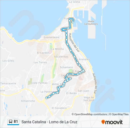 81 Route: Schedules, Stops & Maps - Lomo de La Cruz (Updated)