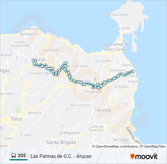 205 Route: Schedules, Stops & Maps - A - Arucas (Updated)