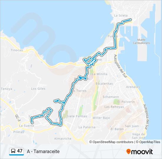 47 Route: Schedules, Stops & Maps - A - Tamaraceite (Updated)
