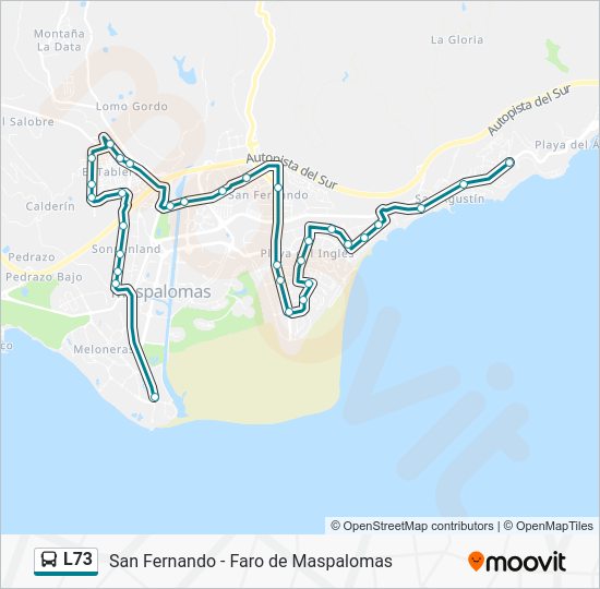 L73 Route: Schedules, Stops & Maps - E - Faro de Maspalomas (Updated)