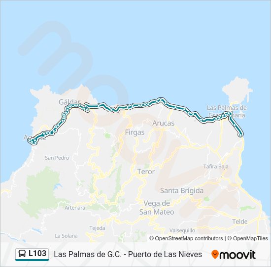 Línea L103: horarios, paradas y mapas - G - Puerto de Las Nieves ...