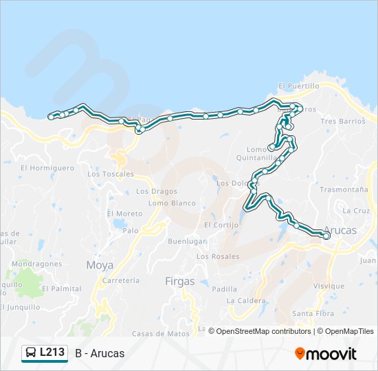 L213 Route: Schedules, Stops & Maps - B - Arucas (Updated)