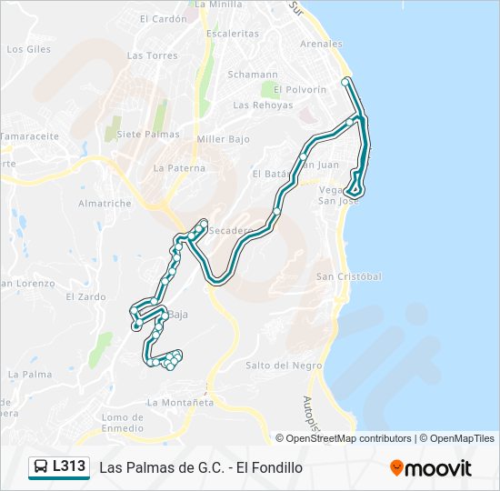Línea L313: horarios, paradas y mapas - A - El Fondillo (Actualizado)