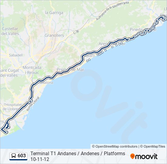603 Route: Schedules, Stops & Maps - Terminal T1 Andanes / Andenes ...