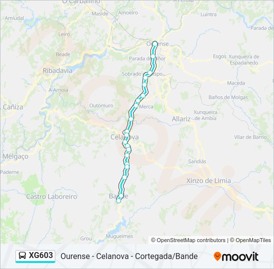 xg603 Route: Schedules, Stops & Maps - Celanova - Bande (Updated)