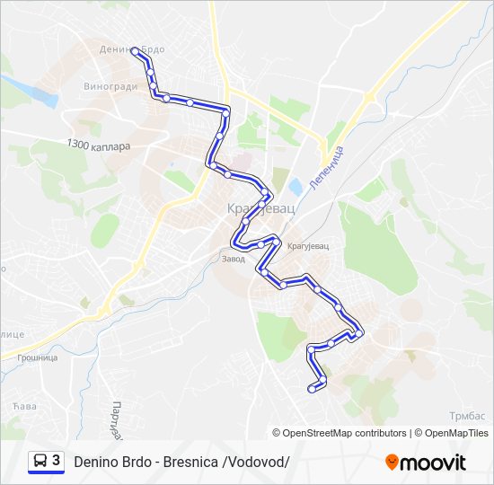 3 Route: Schedules, Stops & Maps - Bresnica (Sa Deninog Brda) (Updated)
