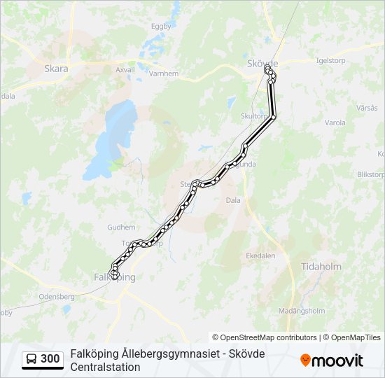 300 Route: Schedules, Stops & Maps - Skövde Centralstation (Updated)