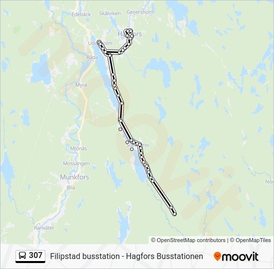307 Route: Schedules, Stops & Maps - Hagfors Busstationen (Updated)