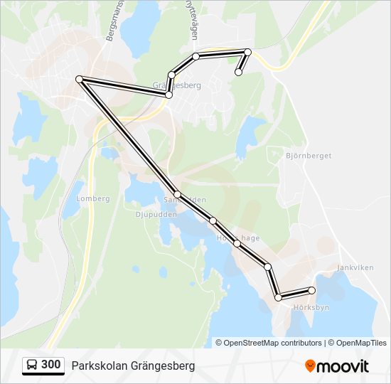 300 Route: Schedules, Stops & Maps - Parkskolan Grängesberg (Updated)