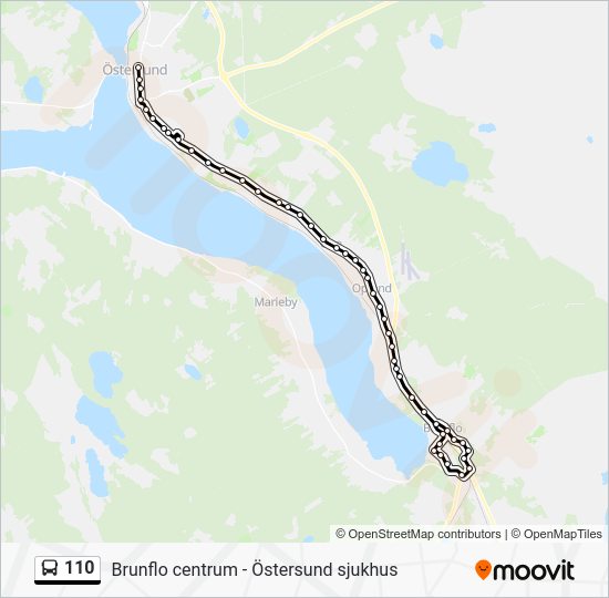 110 Route: Schedules, Stops & Maps - Östersund Sjukhus (Updated)
