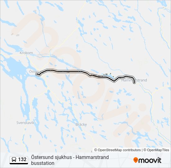 132 Route: Schedules, Stops & Maps - Östersund Busstation (Updated)