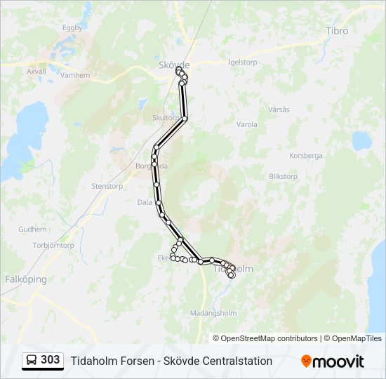 303 Route: Schedules, Stops & Maps - Tidaholm Busstation (Updated)