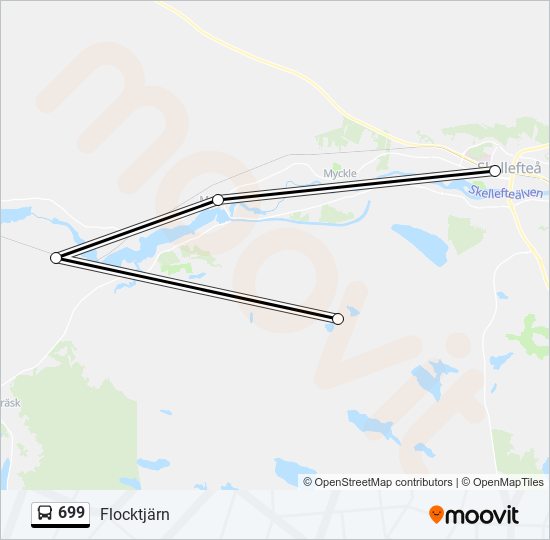 699 Route: Schedules, Stops & Maps - Flocktjärn (Updated)