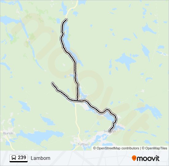 239 Route: Schedules, Stops & Maps - Lamborn (Updated)