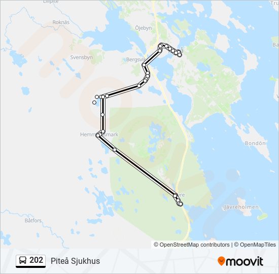 202 Route: Schedules, Stops & Maps - Piteå Sjukhus (Updated)