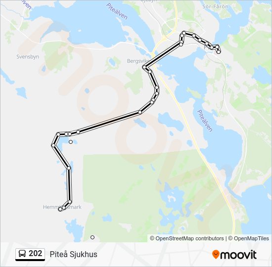 202 Route: Schedules, Stops & Maps - Piteå Sjukhus (Updated)