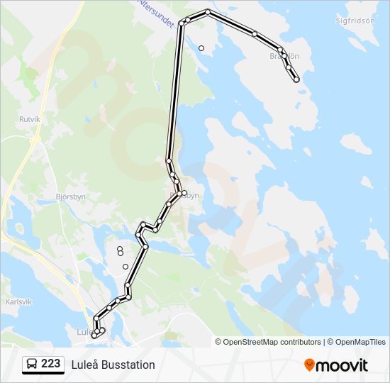 223 Route: Schedules, Stops & Maps - Luleå Busstation (Updated)