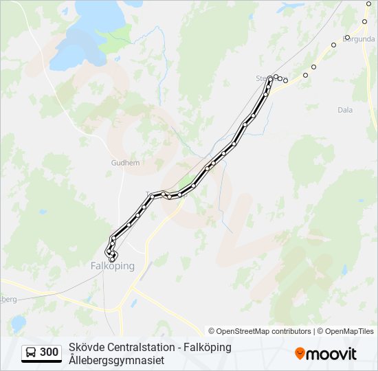 300 Route: Schedules, Stops & Maps - Falköping Centralstation (Updated)