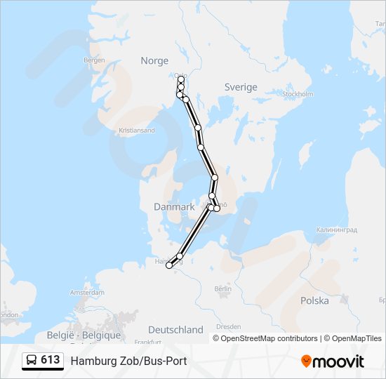 613 Route: Schedules, Stops & Maps - Hamburg Zob/Bus-Port (Updated)