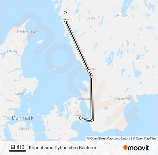613 Route: Schedules, Stops & Maps - Köpenhamn Dybbölsbro Busterm (Updated)