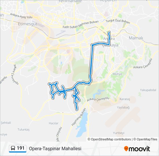 191 Route: Schedules, Stops & Maps - Opera-Taşpinar Mahallesi (Updated)