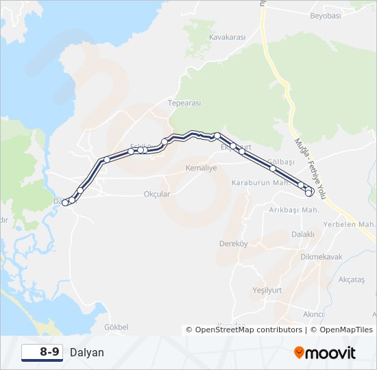 89 Route: Schedules, Stops & Maps - Dalyan (Updated)