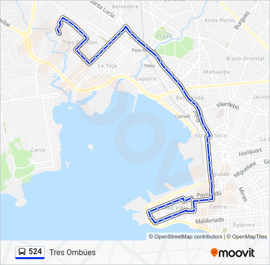 Ruta 524: horarios, paradas y mapas - Tres Ombúes (Actualizado)
