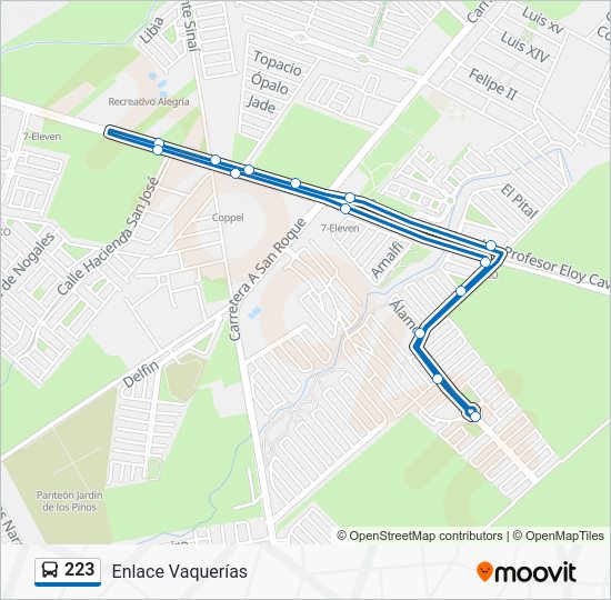 223 Route: Schedules, Stops & Maps - Enlace Vaquerías (Updated)